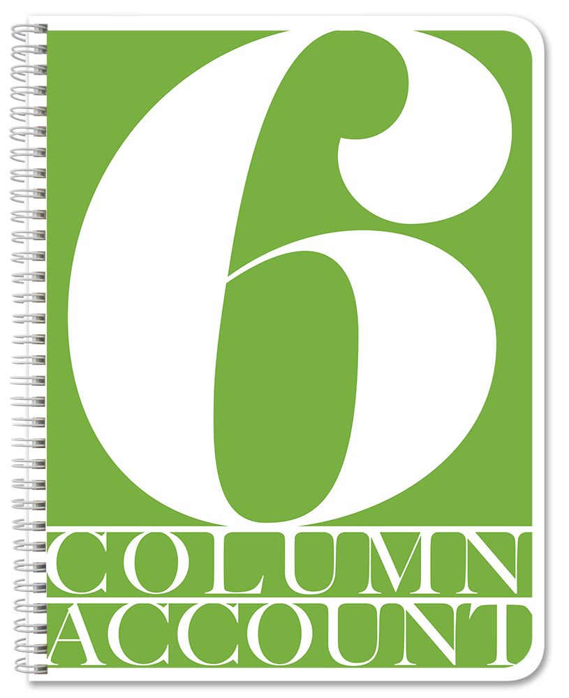6 Column Account Book / Accounting Ledger