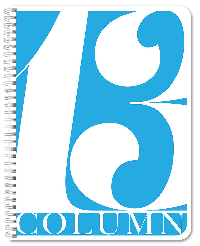 13 Column Log Book/Columnar Logbook/Notebook (13 Thirteen) Columns ...