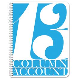 13 Column Account Book / Accounting Ledger
