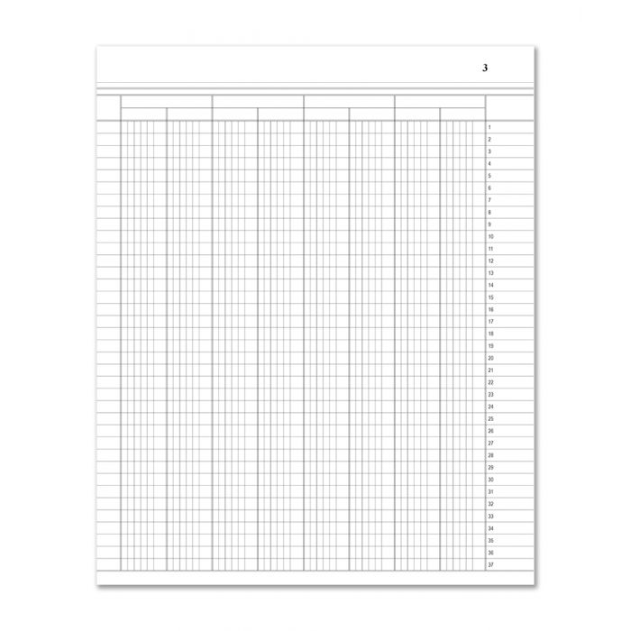 Accounting Ledger Paper