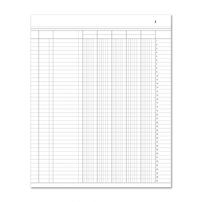 General Ledger Paper