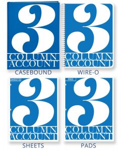 Columnar Accounting Ledgers - Business