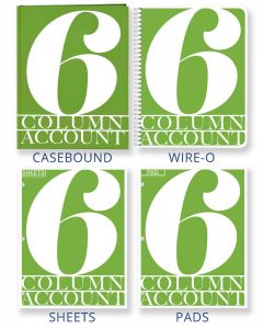 Columnar Accounting Ledgers - Business